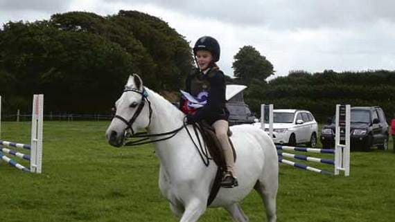 Strong support for 65th Ashwater Show | thepost.uk.com