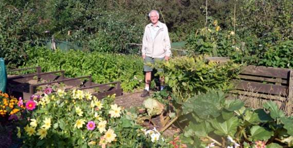 Camelford in Bloom to go ahead despite cancellation of town's annual ...