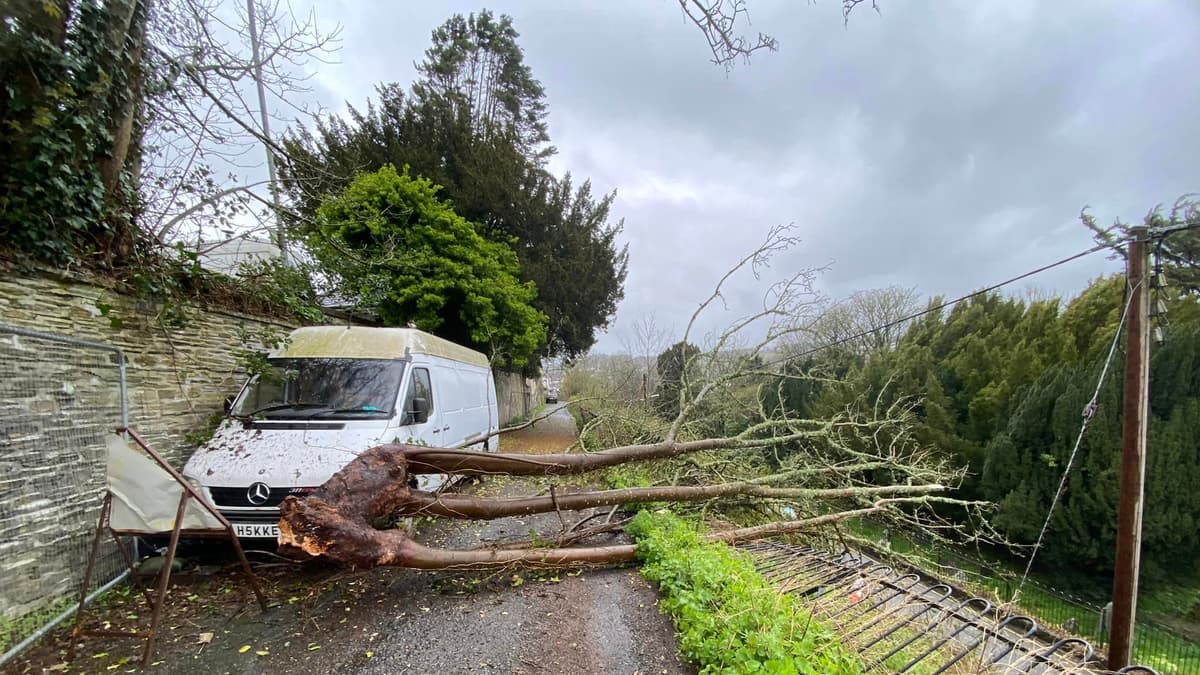 The aftermath of Storm Noa in Launceston | thepost.uk.com