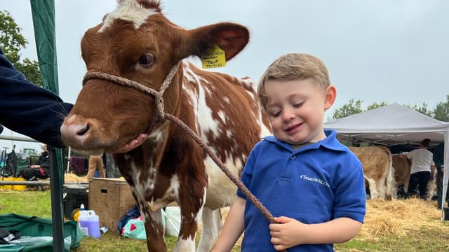 Launceston show 2023 - take a look at some of your local winners ...