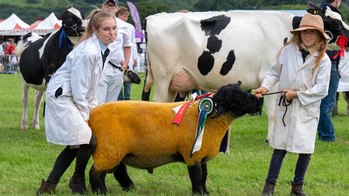 Everything you need to know to plan a trip to this year's Okehampton Show | thepost.uk.com